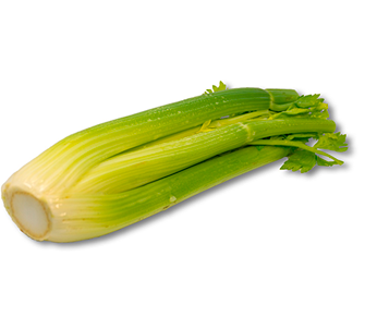 Apio | Veco&Fruits, Frozen Foods, S.L. - Verduras frescas y congeladas